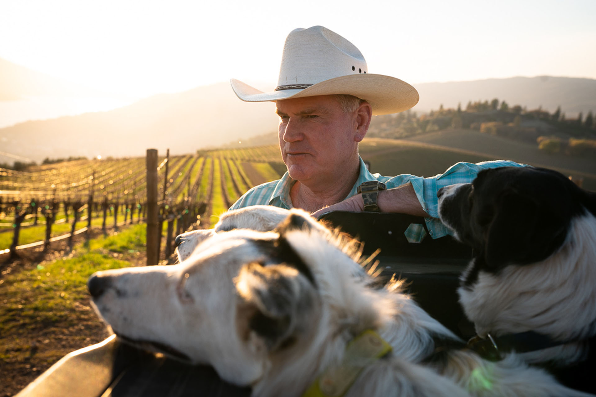 Our Story ★ Shannon Family of Wines
